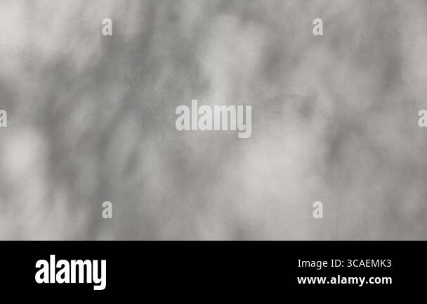 Soft, abstract shadows play across a textured gray wall, creating a ...