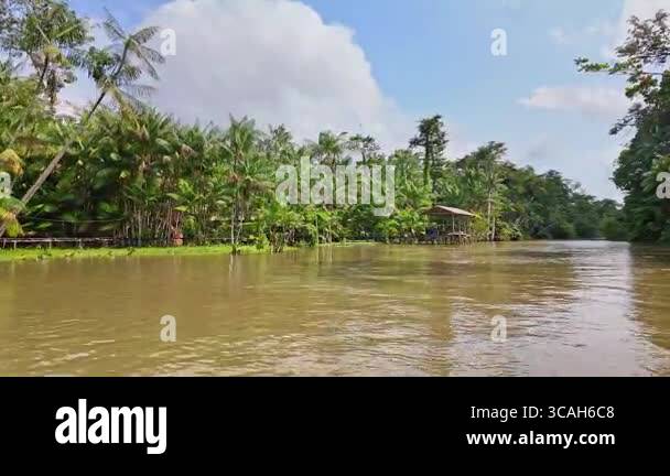 River boat tour on the Guama River at Belem do Para, a city on the ...