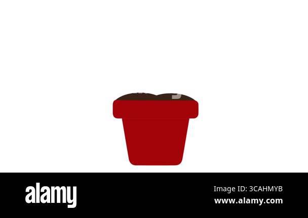 A clean and simple animation of a plant growing in a pot. Perfect for ...