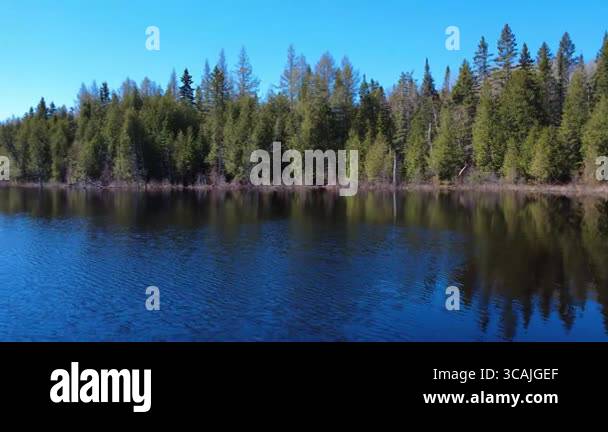 Lake reflecting trees under Stock Videos & Footage - HD and 4K Video ...