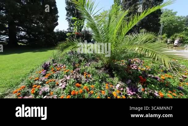 beautiful garden of the park 8k ultra hd Stock Video Footage - Alamy