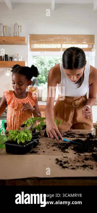 Vertical video: Mother and daughter planting herbs together at home ...