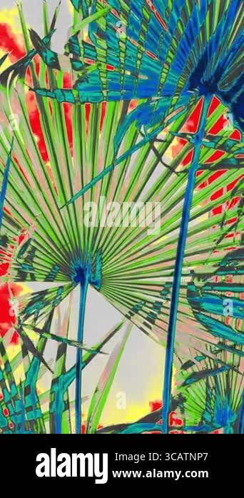 Vivid and abstract palm fronds create a stunning display of color and ...