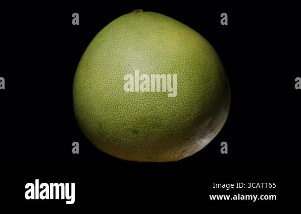Whole Pomelo Fruit Rotating Seamlessly in Loop Animation Isolated on ...