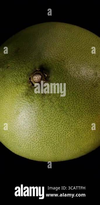 Vertical video. Two Hands Opening a Pomelo to Reveal Juicy Pale ...