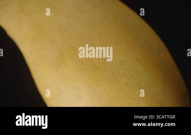 Close-Up Dolly Slider Shot of Yellow Mango Falling and Rotating Mid-Air ...