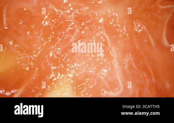 Rotating Macro Close-Up of Pink Guava Flesh Showing Juicy Translucent ...