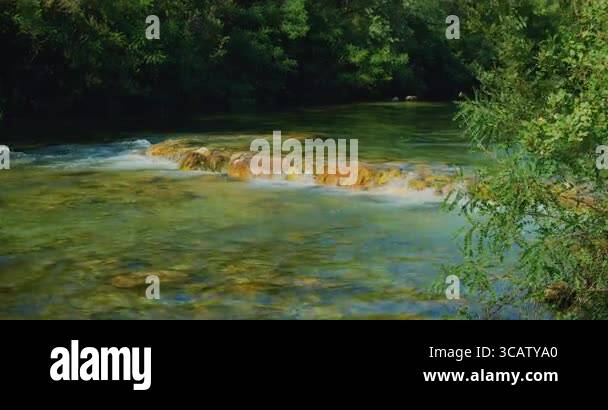 Shallow river stream with visible stones and greenery in Croatian ...
