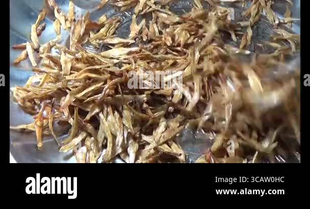 the fried dried fish Stock Video Footage - Alamy
