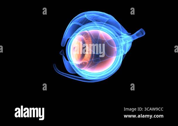 Human Body Parts Anatomy. 3D Illustrations Stock Video Footage - Alamy