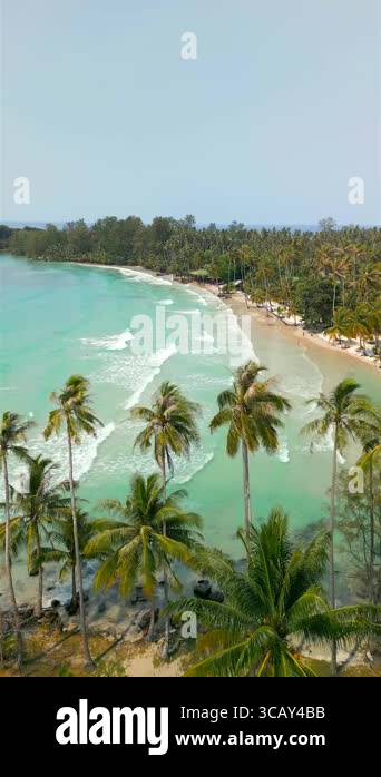 Scenic aerial view of turquoise waves and palm trees along the tropical ...