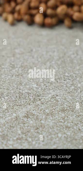 Dried Vicia Faba beans spread slow motion vertical, source of vegetable ...