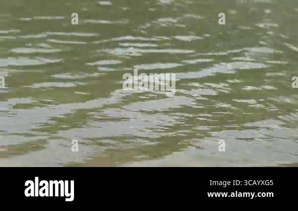 Lake or river with small waves, ripples on the water. Lake surface in ...