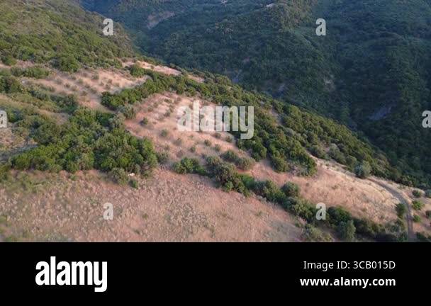 On a Greek mountain slope, a cultivated plowed field with young olive ...