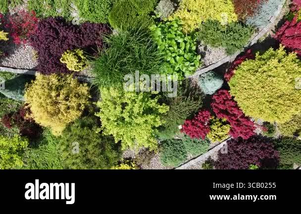 Aerial view reveals a stunning garden with colorful plants, including ...