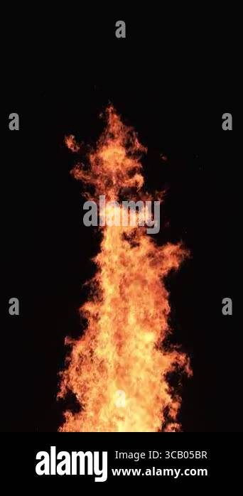 Vertical slow-motion video showing high bonfire flames dancing against ...