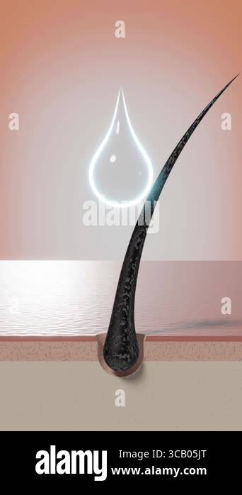 Single hair follicle - shampoo nourish hair concept - 3D 4k vertical ...