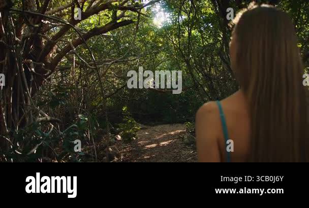 Overhanging tree in dense Stock Videos & Footage - HD and 4K Video ...
