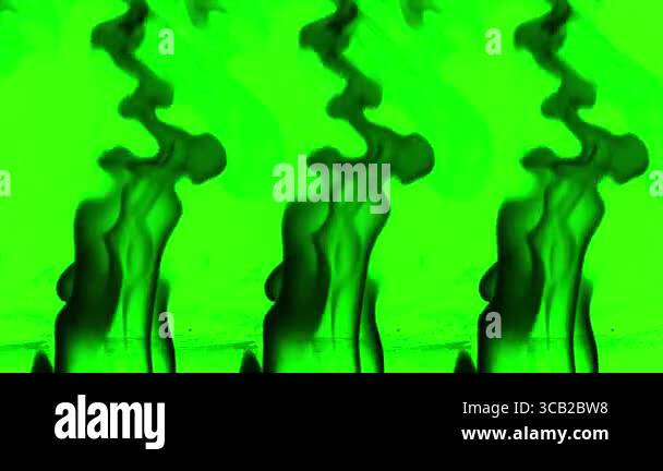 fire flame animation isolated on green screen background, fit for ...