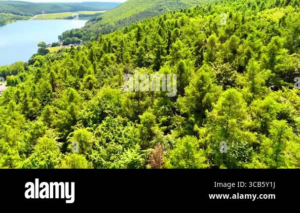 Forest on hillside view Stock Videos & Footage - HD and 4K Video Clips ...