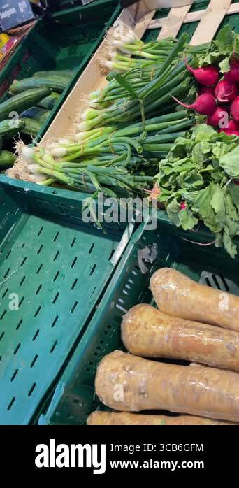 A colorful assortment of fresh vegetables showcasing a variety of ...