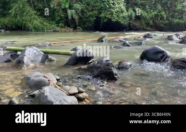 Serene view from the edge of Ciujung River, West Java, Indonesia ...