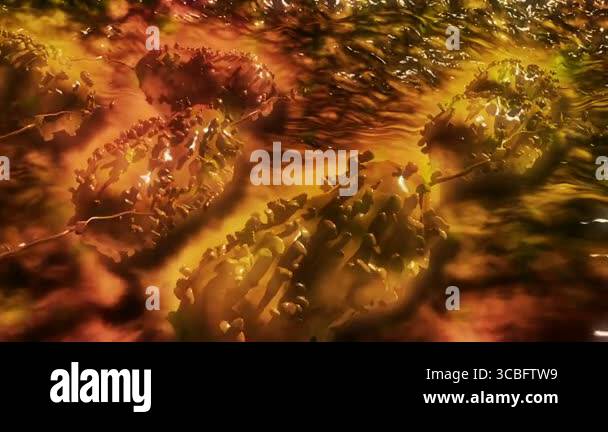 Microscopic view of Escherichia coli bacteria, commonly known as E ...