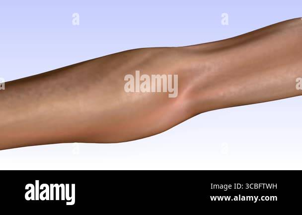 Humans arm Stock Videos & Footage - HD and 4K Video Clips - Alamy