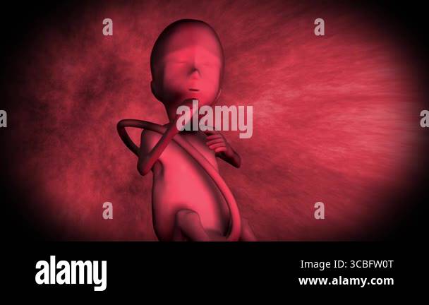 Fetus moving in the womb. 3D animation. Concept Stock Video Footage - Alamy