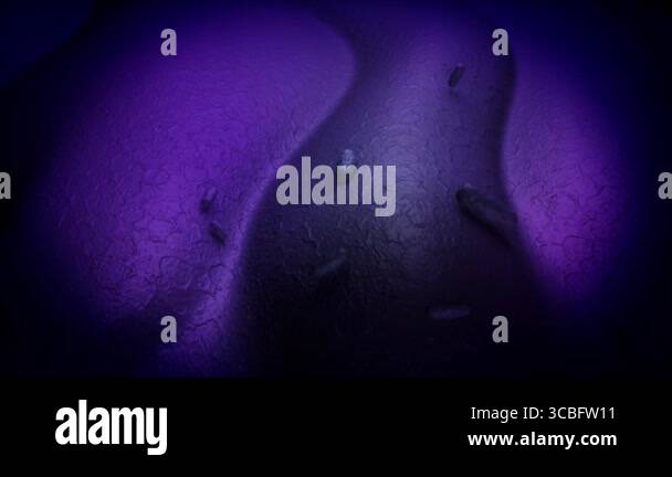 Bacterial growth on an epithelial surface. 3D animation Stock Video ...