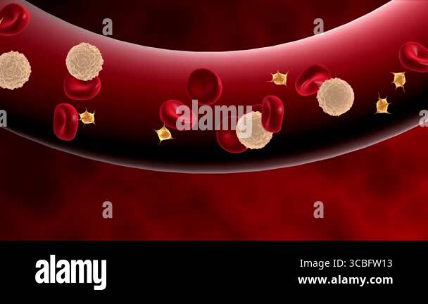 Blood clotting inside artery. 3D animation Stock Video Footage - Alamy