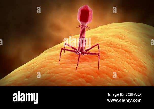 A bacteriophage virus killing bacteria. 3D animation Stock Video ...