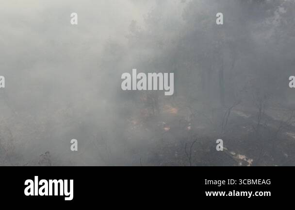 Drone shot of wildfires sweeping through forests on the Syrian coast. A ...