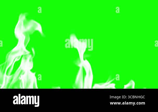 fire flame animation isolated on green screen background, fit for ...