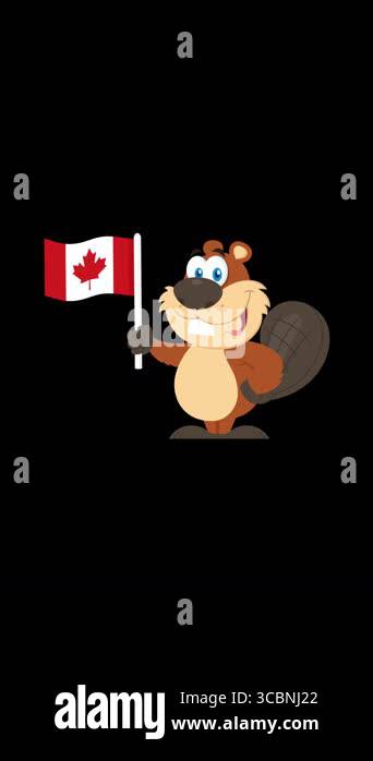 Cute Beaver Cartoon Mascot Character Holding A Canadian Flag. 4K ...