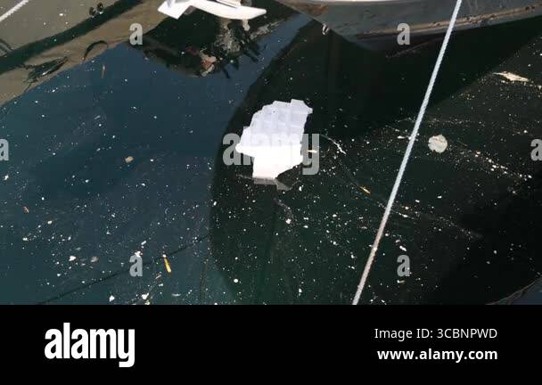 Plastic debris floating in Monte Carlo waters Stock Video Footage - Alamy