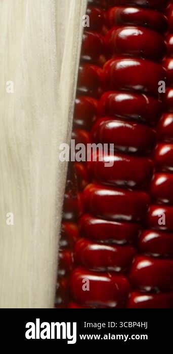 Vertical video. Red Corn Cob Rotating and Slowly Zooming Out in ...