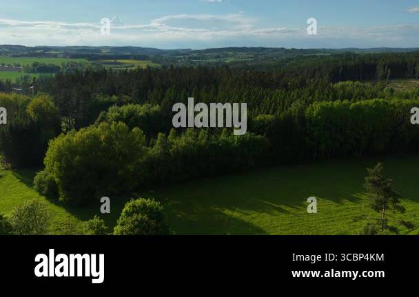 Green meadow meeting dense forest under sunny blue sky. Vibrant trees ...