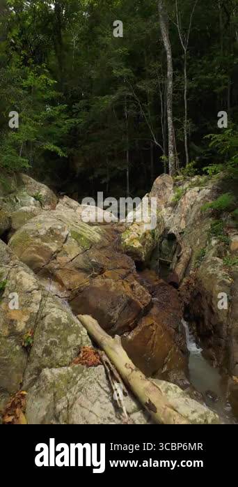 Vertical video. Drone Flying Along Rocky Jungle Stream Toward Dense ...