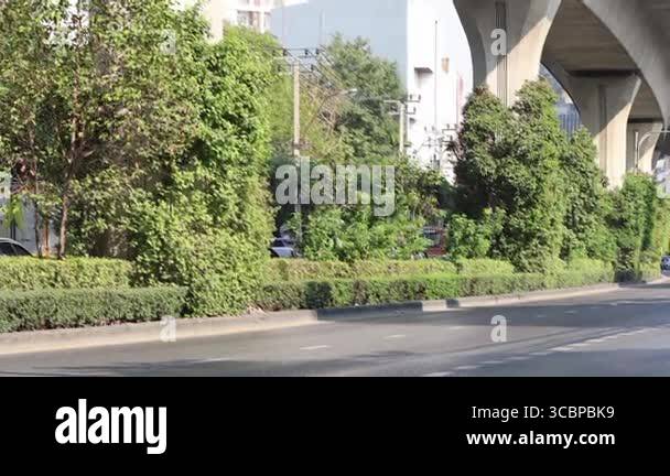 Greenery under a concrete bridge structure Stock Video Footage - Alamy