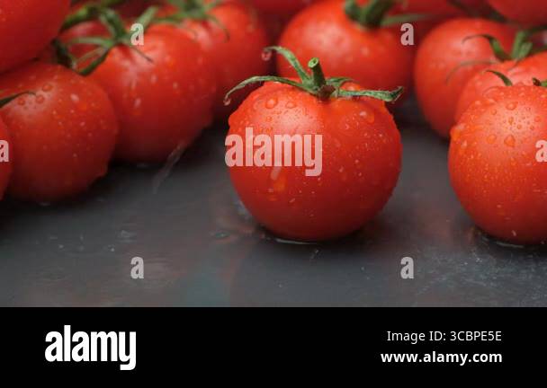 Fresh cocktail tomato in a splash of water slow motion Stock Video ...