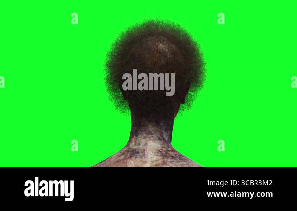 Zombie green screen realistic 4k animation Stock Video Footage - Alamy