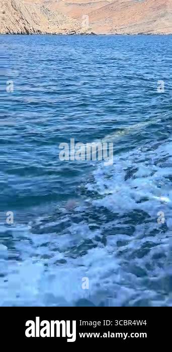 Dolphins surf the waves in the calm waters off the rocky coast of ...