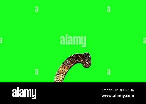 Letter C animated in a colorful chalkboard theme for kids education ...