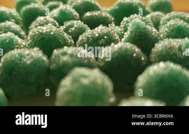 Herbal candy made from eucalyptus leaves offers a refreshing minty ...