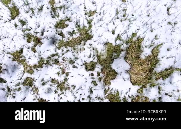 Thin layer snow covers Stock Videos & Footage - HD and 4K Video Clips ...