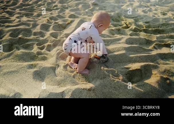 Infant sits on sandy beach, engaging with the texture of the sand ...
