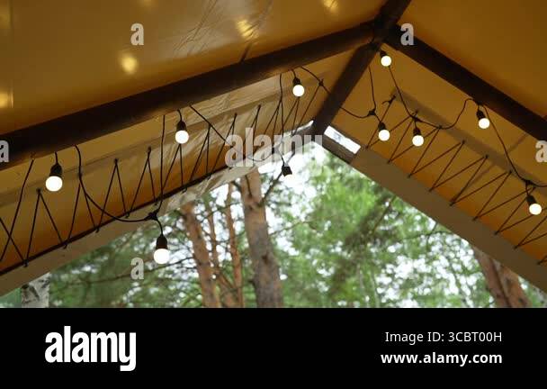 Beautiful decorative lights beautifully enhance the overall ambiance of ...