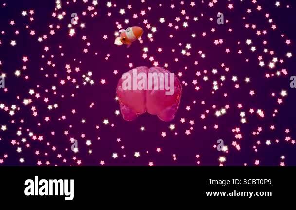 Loop video of orange rocket flying around a glossy pink brain ...
