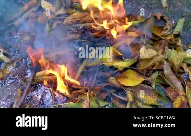 Burn leaves Make a bonfire in the garden in Leninskiy Rayon Brest Brest ...